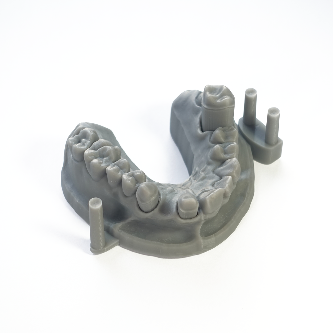 Alias Dental Model – Dokuz Kimya