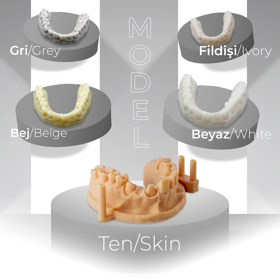 Alias Dental Model – Dokuz Kimya